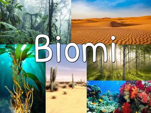 Book Creator | Biomi