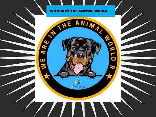 Book Creator | WE ARE IN THE ANIMAL WORLD