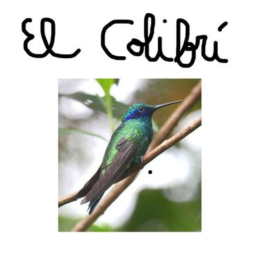 Book Creator | EL COLIBRÍ