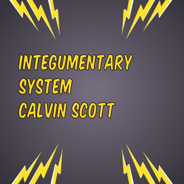 Book Creator | Integumentary System