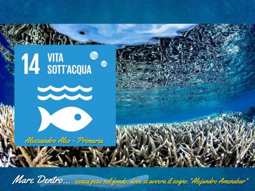 Book Creator | BOOK - Mare Dentro