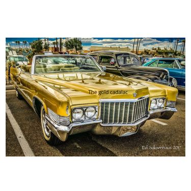 Book Creator | The gold cadillac