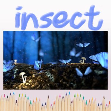 Book Creator | insect
