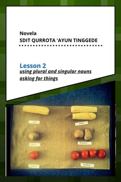 Book Creator | Plural and Singular Noun
