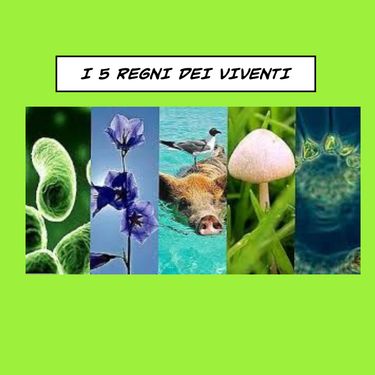 Book Creator | I REGNI DEI VIVENTI