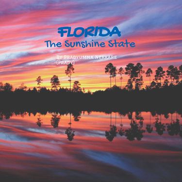 Book Creator | Florida