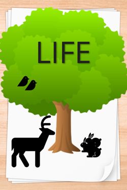 Book Creator | Life