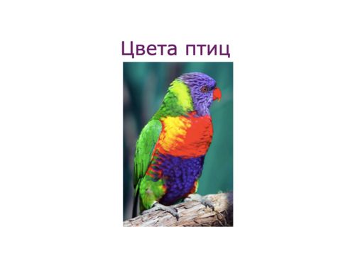 Book Creator | Bird colours
