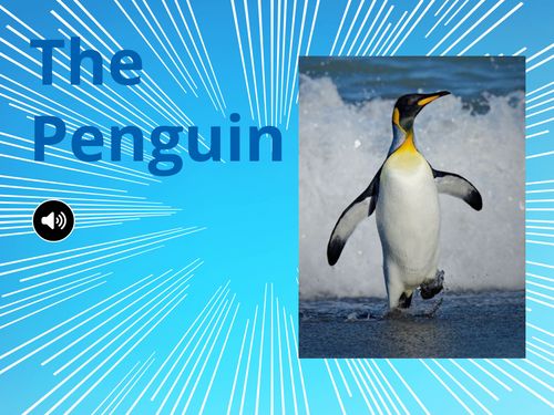 Book Creator | The penguin