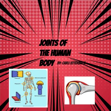 Book Creator | Joints