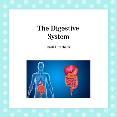 Book Creator | The Digestive System