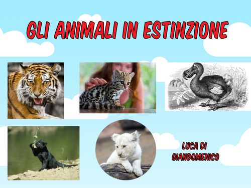 Book Creator | Animali in estinzione