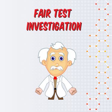 Book Creator | Fair test investigation
