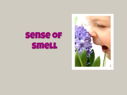 Book Creator | Unit 2: The Sense of Smell