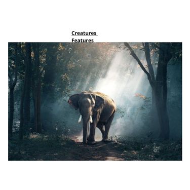 Book Creator | Creature Features