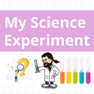 Book Creator | Science experiment