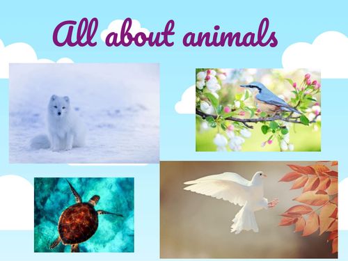 Book Creator | All About Animals