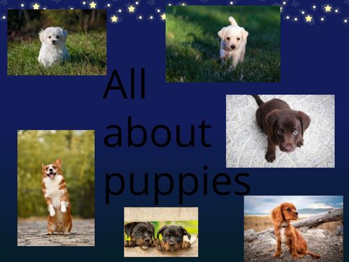 Book Creator | All About Puppies