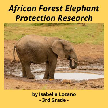 Book Creator | African Forest Elephant Protection Research