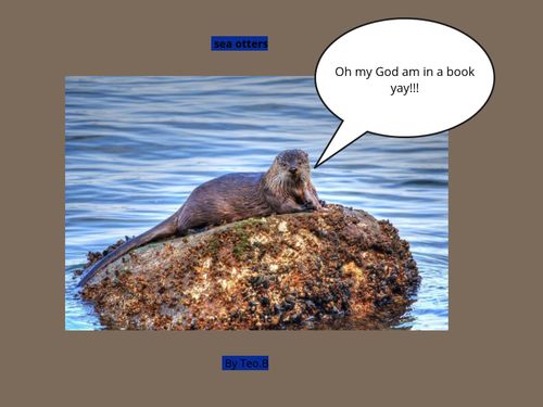Book Creator | Sea Otter
