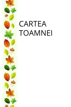 Book Creator | TOAMNA