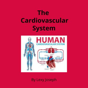 Book Creator | Cardiovascular System