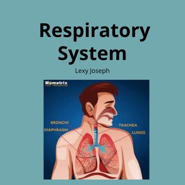 Book Creator | Respiratory System