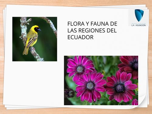 Book Creator | Flora y fauna de las regiones del Ecuador