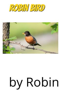 Book Creator | Robins