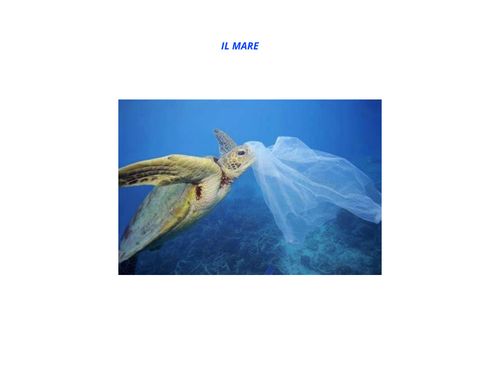 Book Creator | Il mare