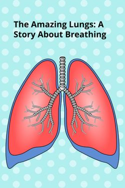Book Creator | The Amazing Lungs