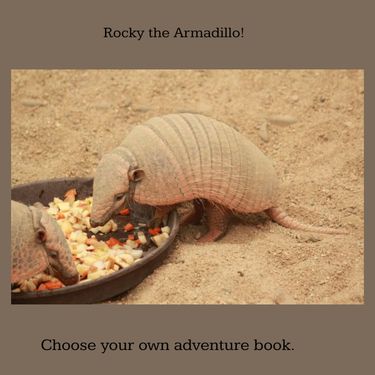 Book Creator | Rocky the Armadillo