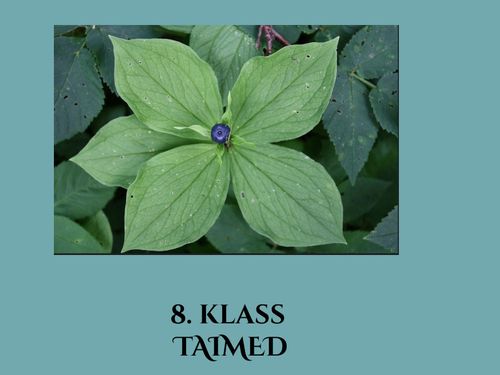 Book Creator | 8. klass Taimed