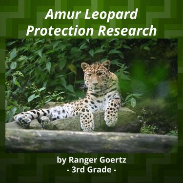 Book Creator | Amur Leopard Protection Research