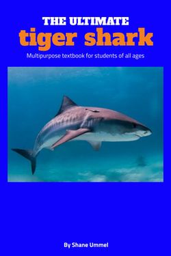 Book Creator | Tiger Sharks