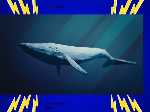 Book Creator | Blue Whale