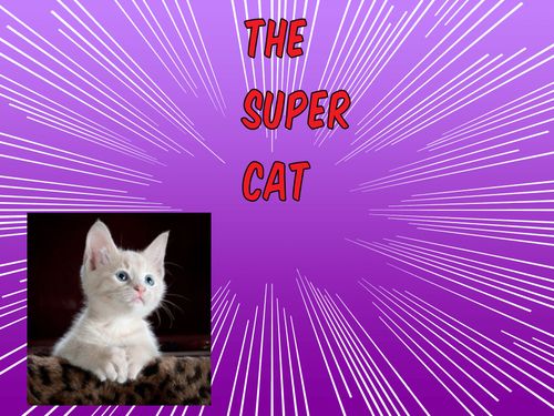 Book Creator | Super cat 2