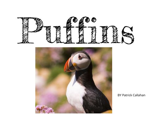Book Creator | Puffin