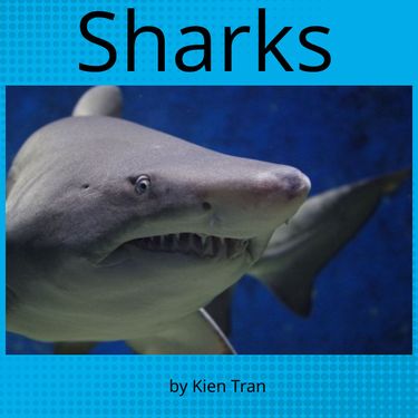 Book Creator | a shark book
