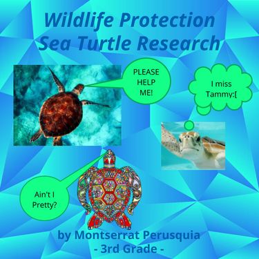 Book Creator | Sea Turtles