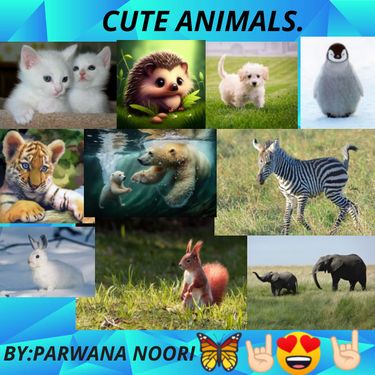 Book Creator | Cute Animals