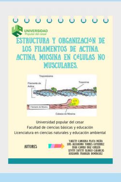 Book Creator | Estructura y organización de los filamentos de actina. Actina, miosina en células ...