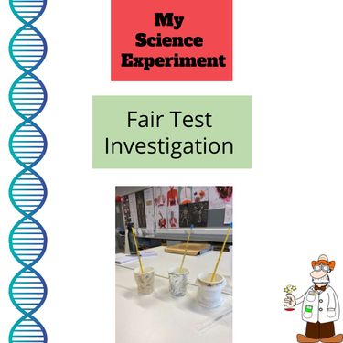 Book Creator | My Science Experiment
