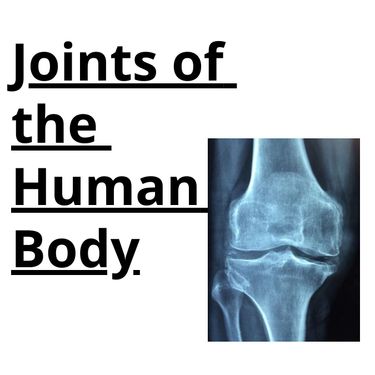 Book Creator | Joints Book