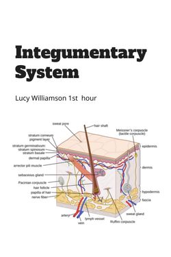 Book Creator | integumentary book