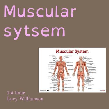 Book Creator | Muscular system