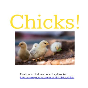 Book Creator | Dyami Customized Book