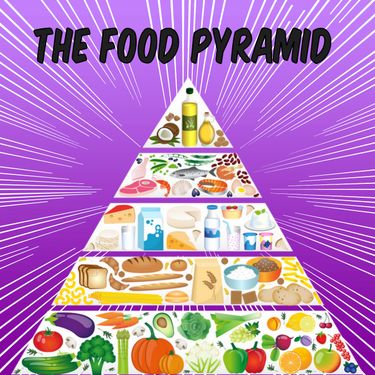 Book Creator | The Food Pyramid