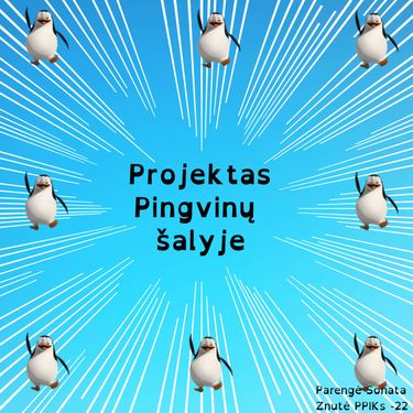 Book Creator | Pingvinai