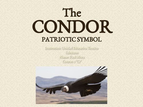 Book Creator | The condor